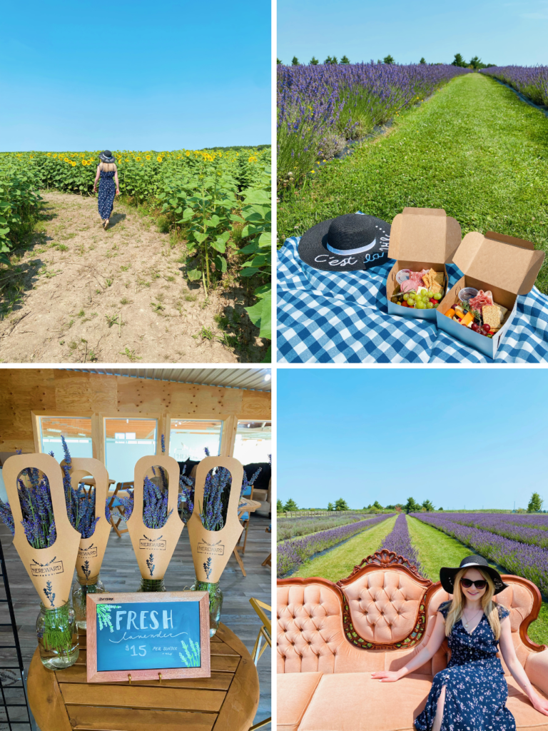 Hereward Farms - Exploring the Best of Toronto, Southern Ontario & Beyond
